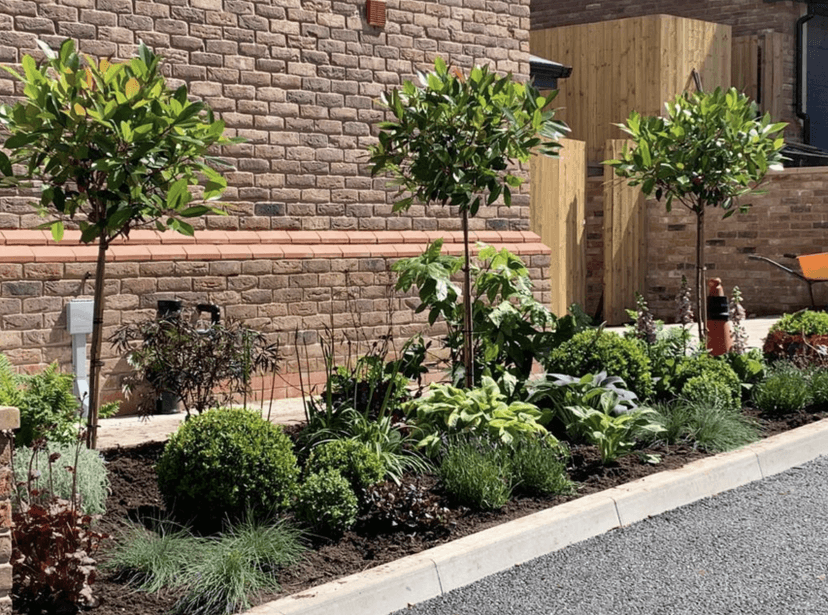 Supreme Garden Services | Professional Garden Services in Tameside
